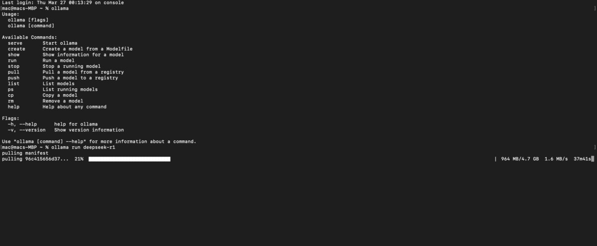 How to Run DeepSeek Locally: A Step-by-Step Guide